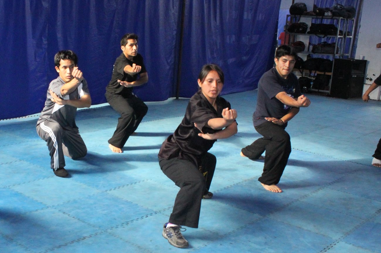 Deportes sin Límite: KUNG FU PARA TODOS